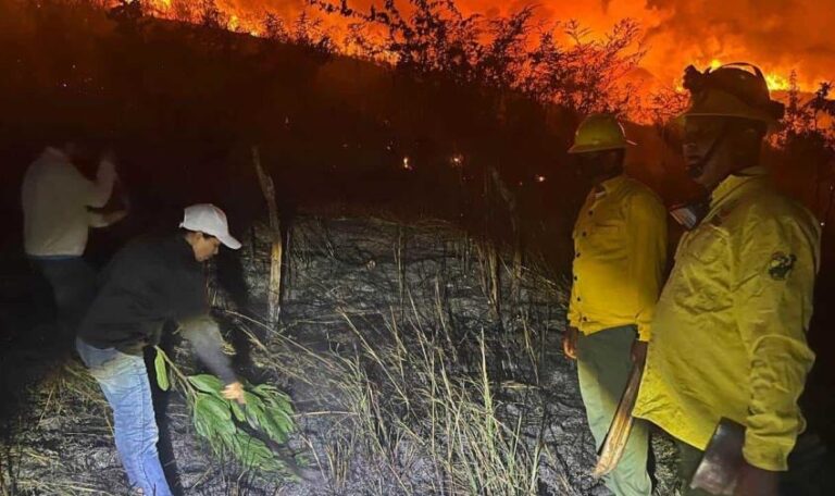 Incendio en Loma Atravesada afecta 180 tareas; bomberos logran sofocar ...